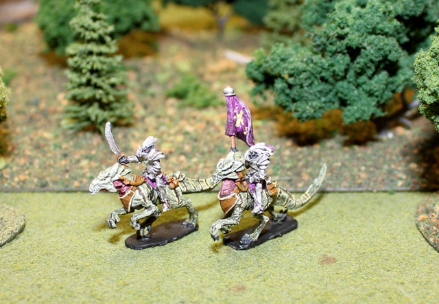 Dark Elf Cavalry
