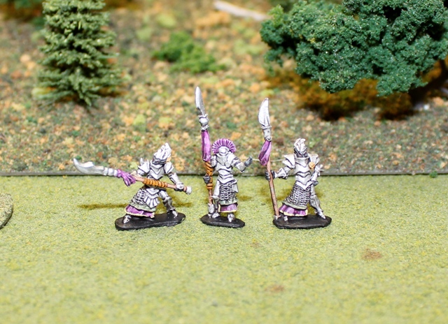Dark Elf Cavalry
