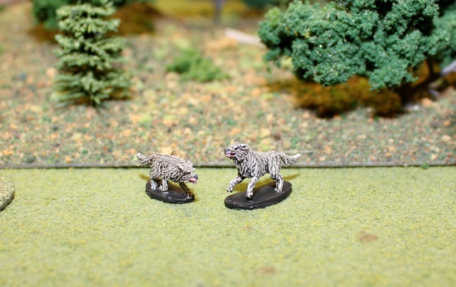 Young Barbarian vs Wolves